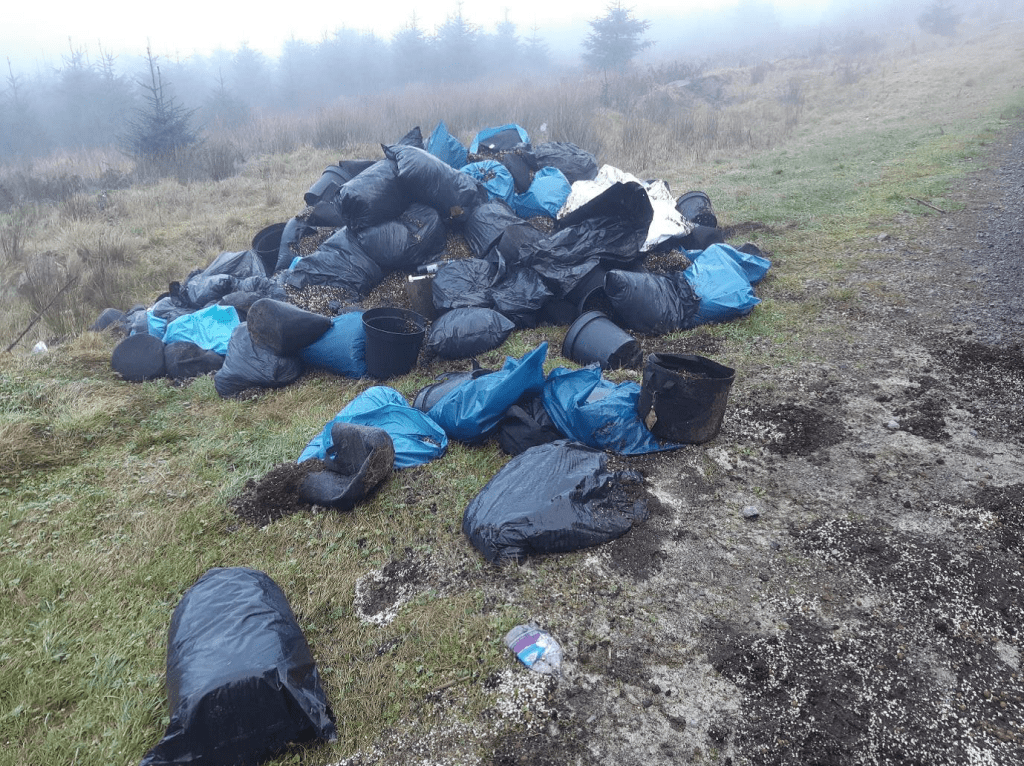 Man pays heavy price after remains of cannabis farm found dumped in ...