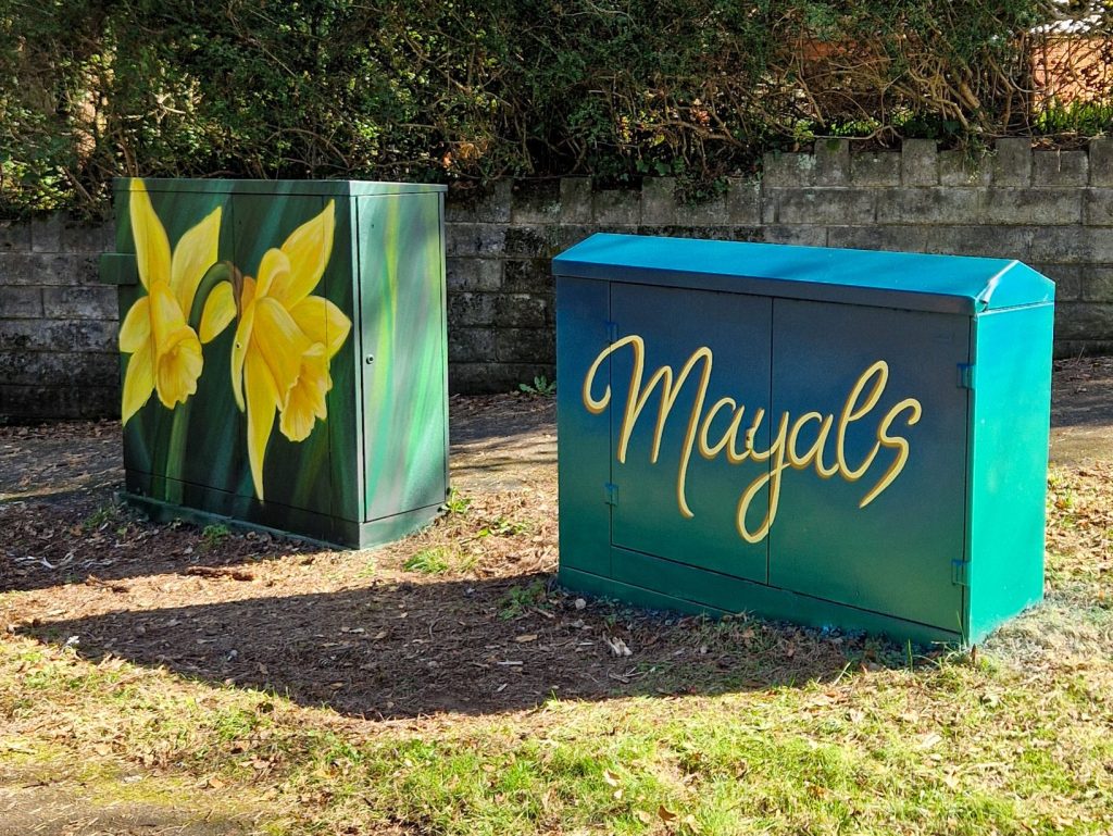 Painted utility boxes bring colour and conversation to Mumbles ...