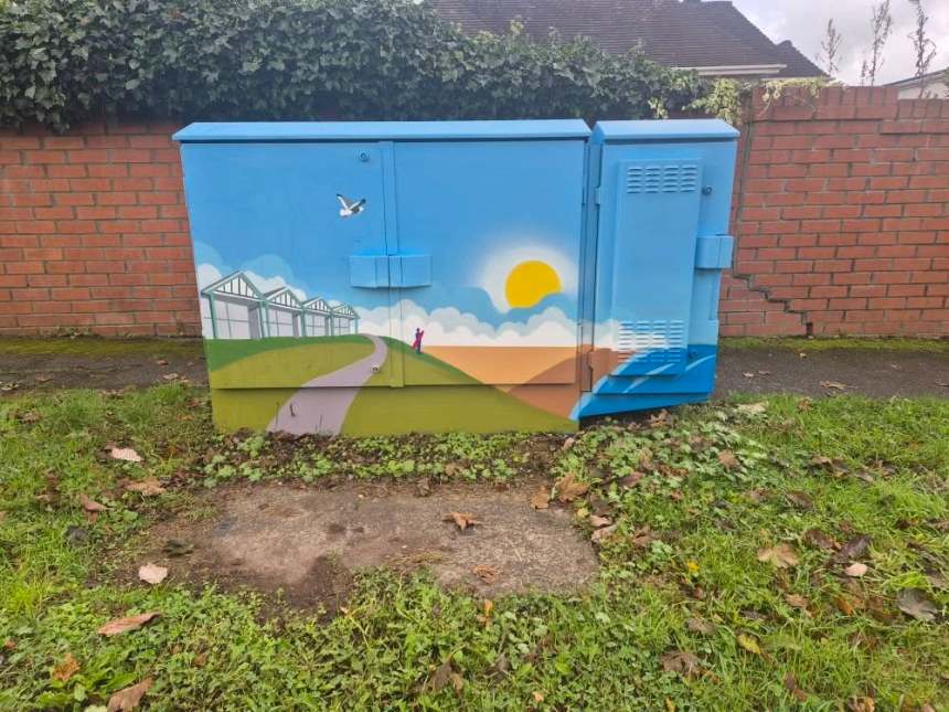 Painted utility boxes bring colour and conversation to Mumbles ...