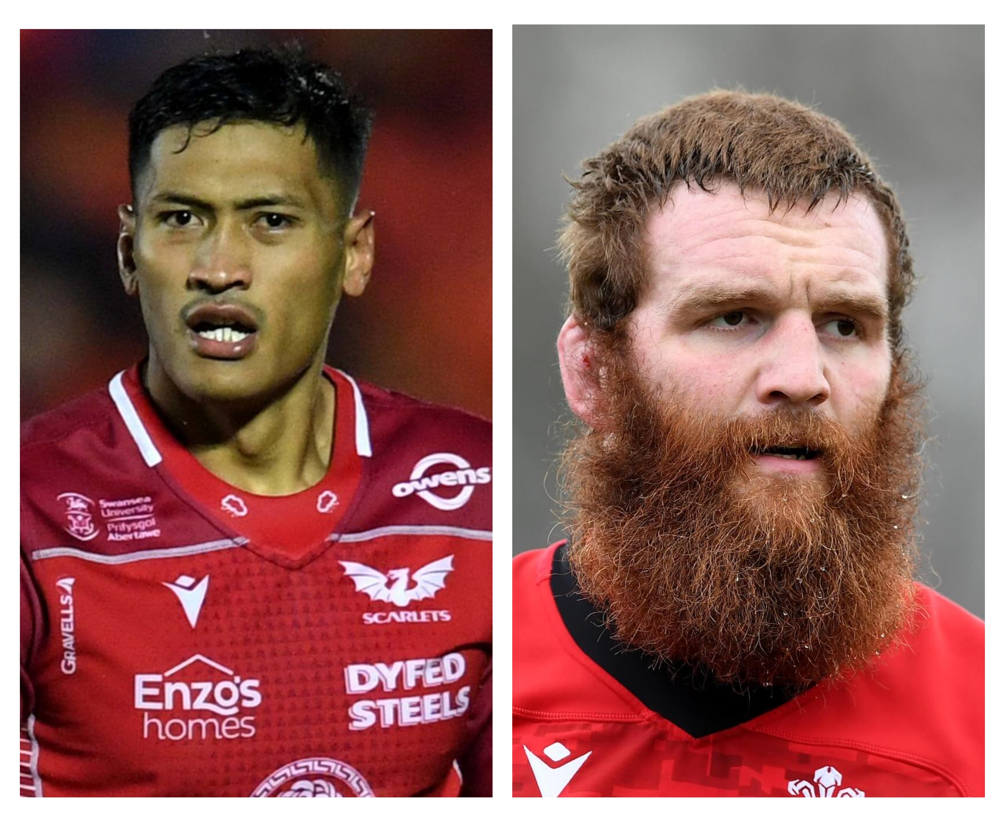 Ball and Lousi back in contention for Scarlets as Peel looks for ...