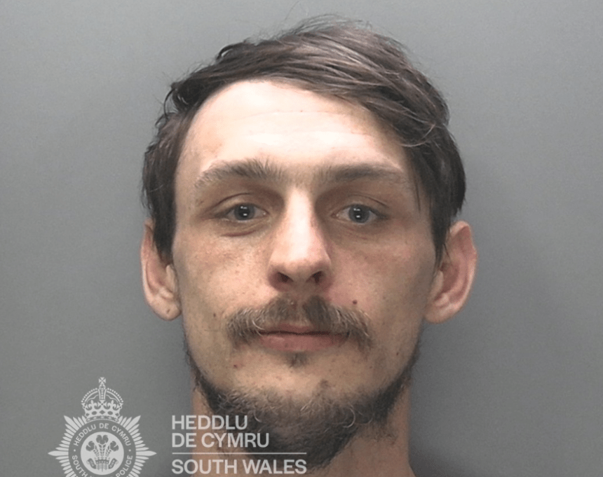 Swansea man who 'made victim's life a misery' jailed - Swansea Bay News