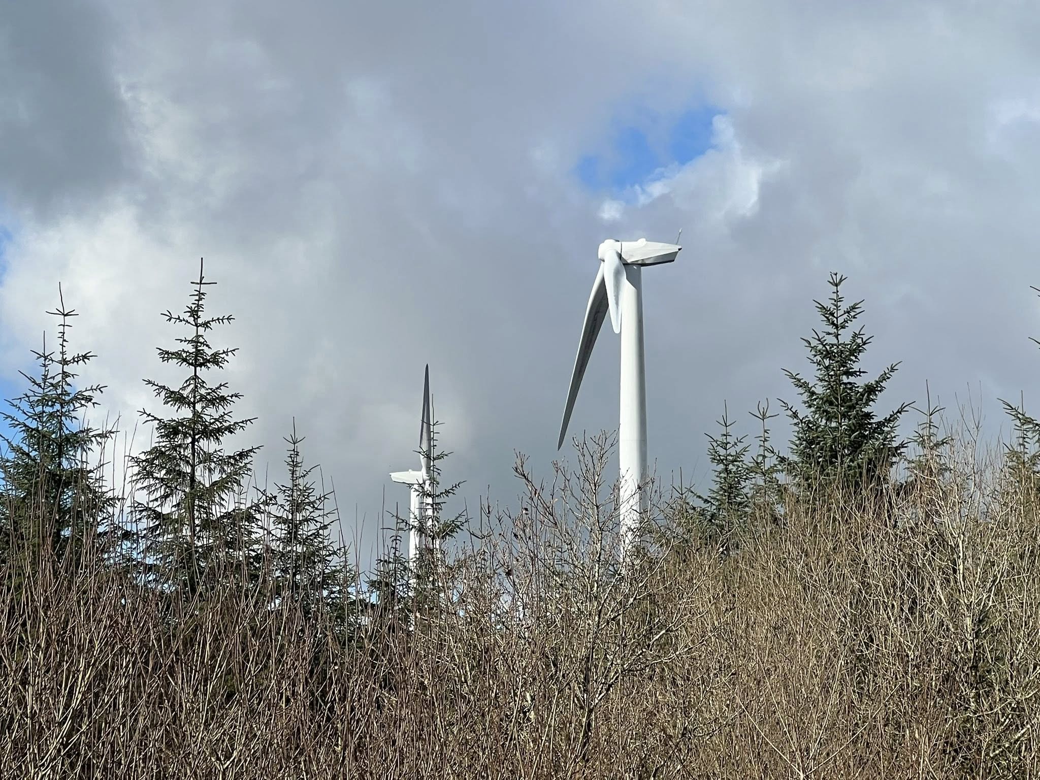 Blade falls from massive wind turbine in Carmarthenshire forest ...