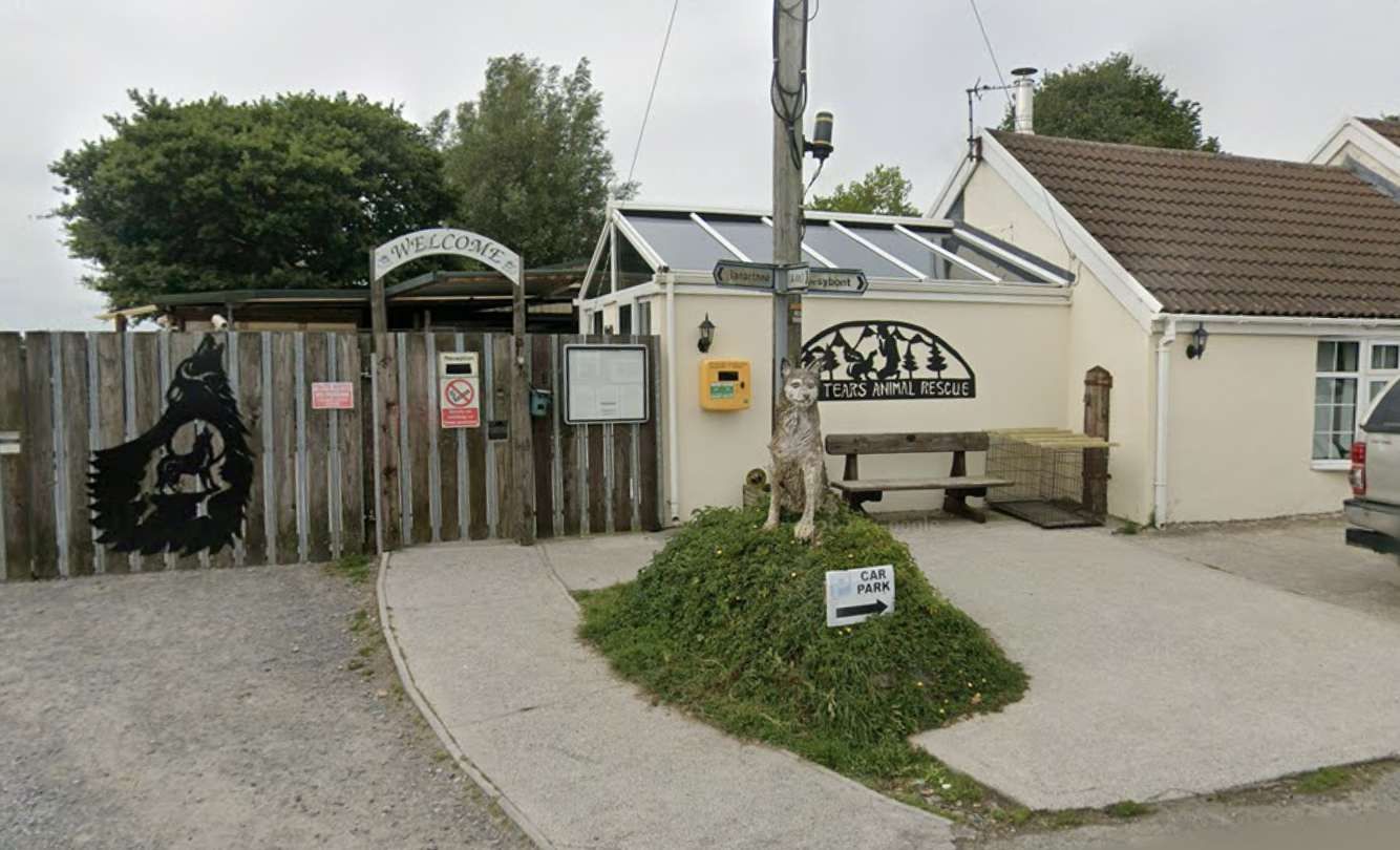 INVESTIGATION LAUNCHED: Concerns raised over treatment of dogs at Welsh ...