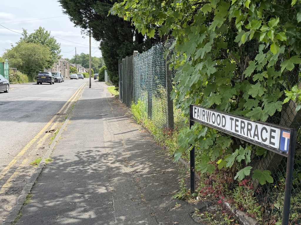GOWERTON: 'Surely they should have foreseen this?' — the decade-long ...