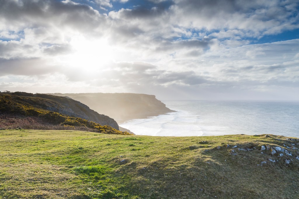 GOWER: Cave art found on the Gower coast confirmed as the oldest in ...